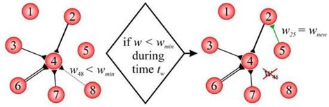 Stdp Driven Rewiring In Spiking Neural Networks Under Stimulus Induced