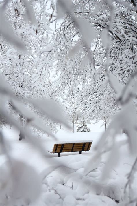 Snow Aesthetic Wallpapers · 170 Backgrounds ️⛄️🌨️