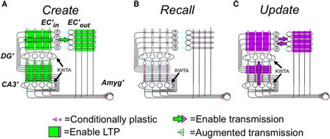 A Creation B Recall And C Update Modes Explained In Text But Download Scientific