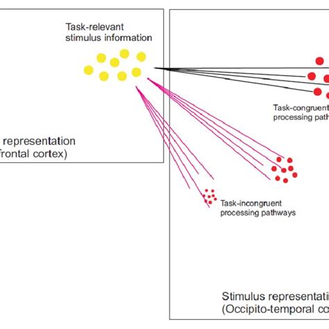 Gating Framework Task Information Relevant Stimulus Dimension Download Scientific Diagram