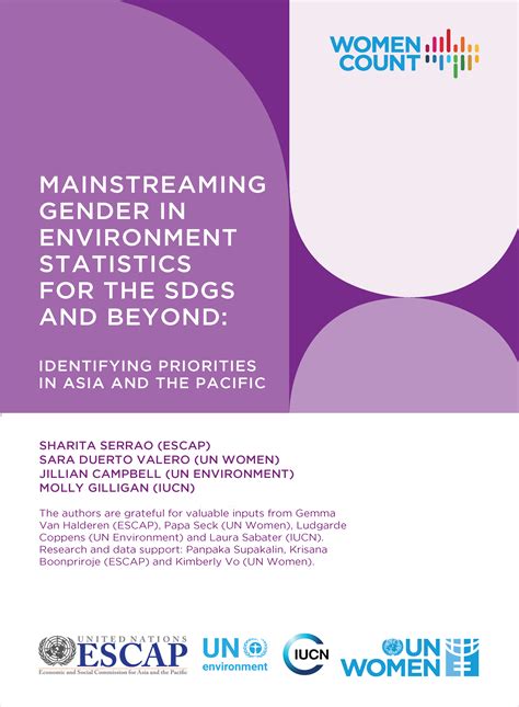 Mainstreaming Gender In Environment Statistics For The Sdgs And Beyond Identifying Priorities