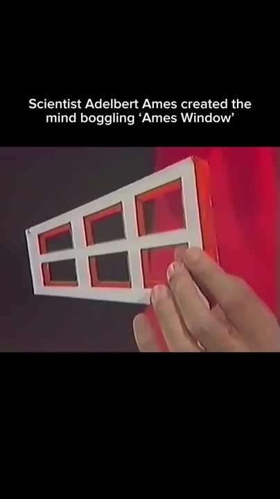 Streetartglobe On Linkedin Deane Hutton From The ‘curiosity Show