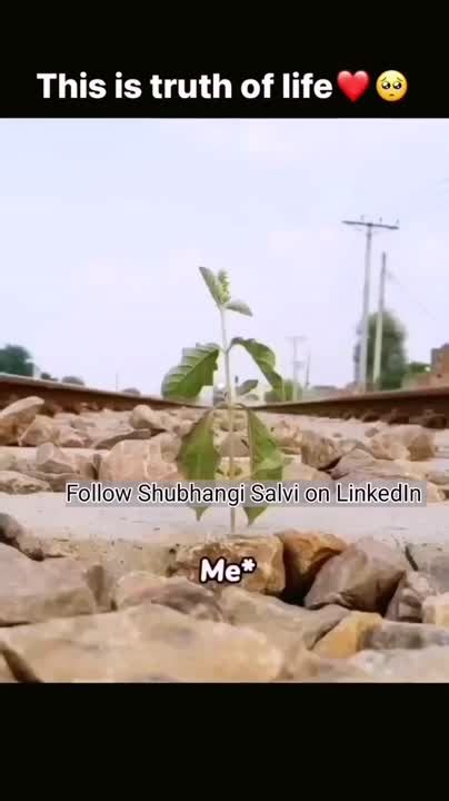 bhawna posted on linkedin