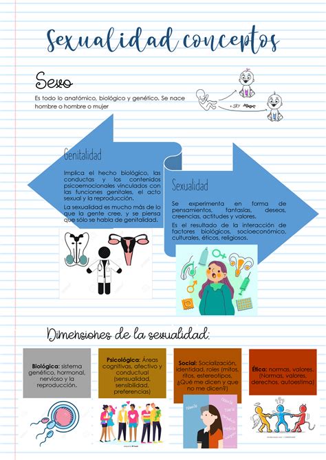 Sexualidad Conceptos Básicos Curso Sexualidad Humana Psicología