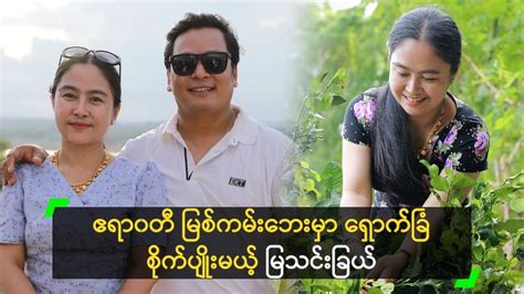 ဧရာ၀တီမြစ်ကမ်းဘေးမှာ ရှောက်ခြံ စိုက်ပျိုးမယ့် မြသင်းခြယ် Youtube