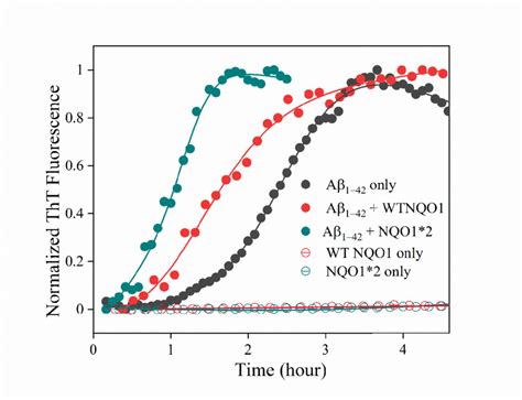 Thioflavin T 20 M Fluorescence 1 42 10 M Aggregation Kinetics In Download Scientific