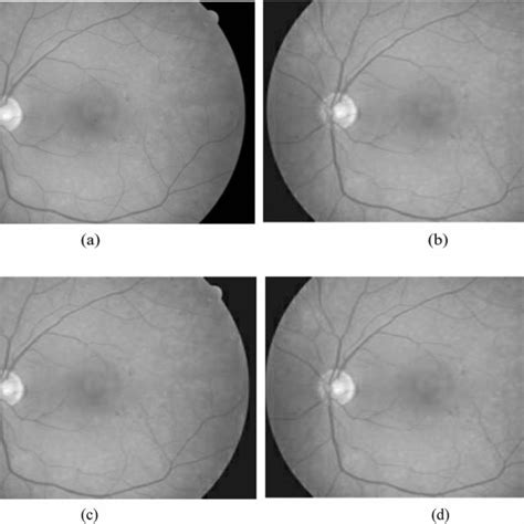 extracted qr codes using iwt svd extraction algorithm download scientific diagram