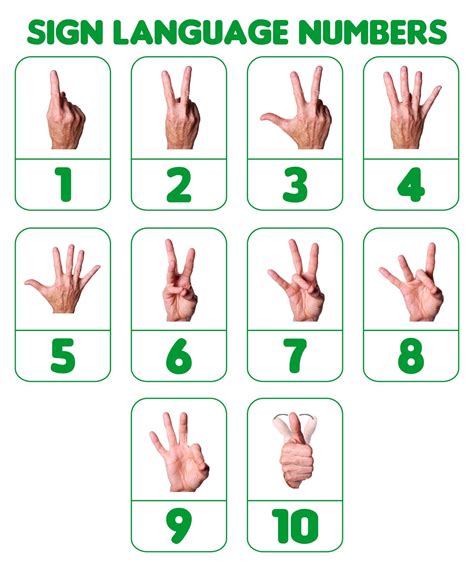 Asl Numbers 1 10 Chart