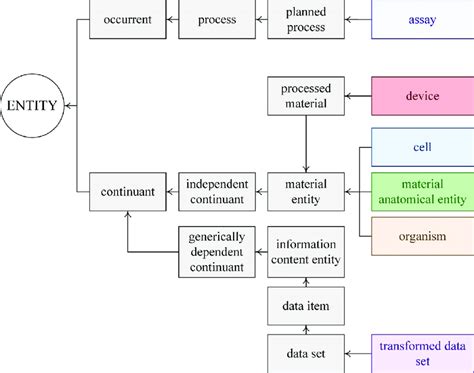 Six 6 Classes That Describe The Data The Classes Are Denoted With