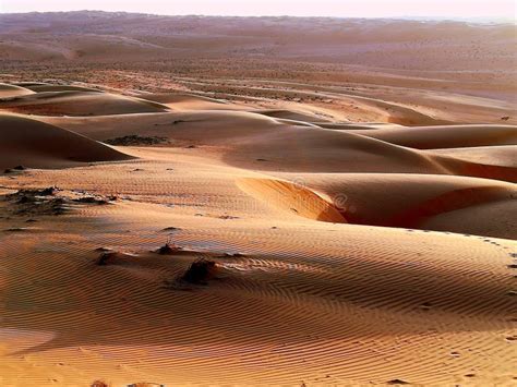 Series Of Desert Dunes In The Light Of The Sunset Wahiba Sand Oman