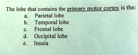Solved The Lobe That Contains The Primary Motor Cortex Is The A