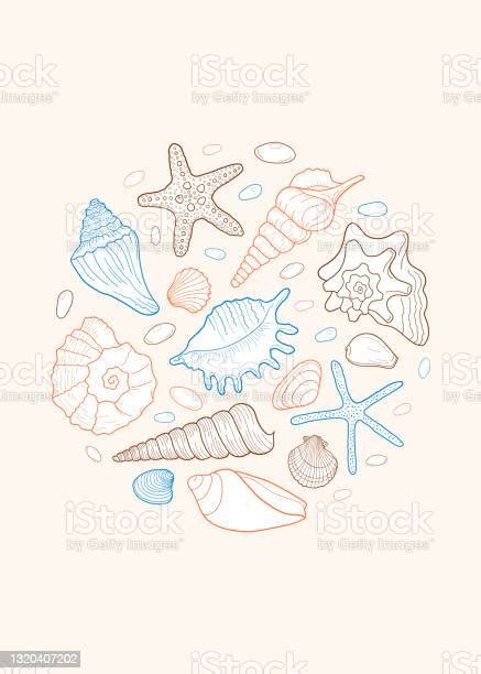 초대장 인사말 카드 포스터 배너 전단지 패키지 등을 위한 손으로 그린 라인 디자인 템플릿 분홍색 배경에 벡터 다채로운 그림 가리비에 대한 스톡 벡터 아트 및 기타 이미지