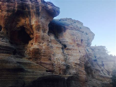 Collaborating With Google Docs Tutorial Sophia Learning