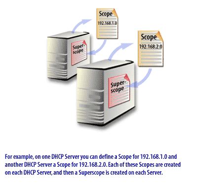 Designing Functional Dhcp Solution For Lan