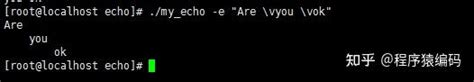 分享Linux常见命令echo命令代码实现 知乎