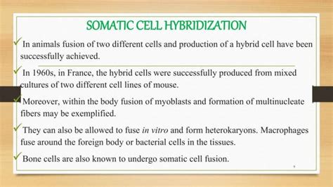 Somatic Cell Genetics By Kk Sahu Pptx