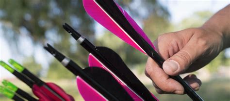 How Important Are Your Arrow Fletchings Bowhunting Net