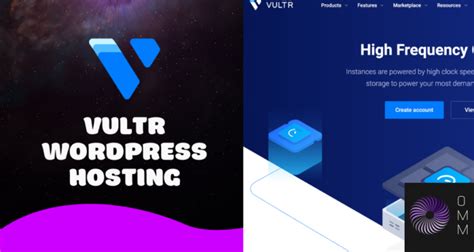 3 best vultr wordpress hosting providers