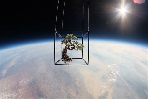 8 Of The Strangest Things Ever Sent Into Space