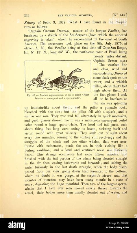 The Great Sea Serpent Is A Historical Account Of Sightings And Myths Surrounding A Supposed