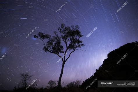 Star Trails In The Northern Territory Alice Springs Australia — Milky