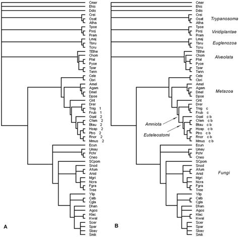 Comparison Of Domain Tree And Domain Combination Tree Single Domains Download Scientific