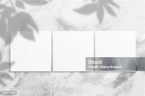 밝은 회색 콘크리트 배경에 잎에서 종이와 그림자의 빈 흰색 사각형 수채화 시트의 구성 광고 보드 벽에 모형 플랫 레이 상단 뷰 복사 공간 A4 용지에 대한 스톡 사진 및