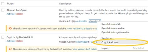 How To Auto Update Wordpress Plugins Carl Georg Web Design