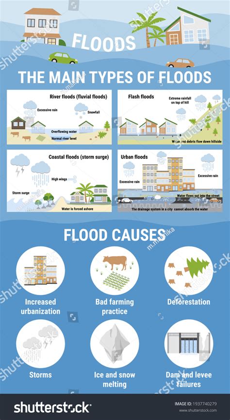 Main Types Floods Flood Causes Flooding Stock Vector Royalty Free