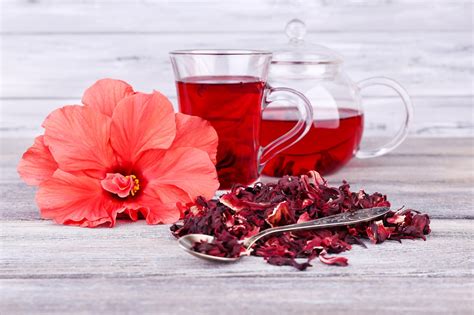 Hibiscus Flower Detailed Nutrition Based Guide Healthifyme