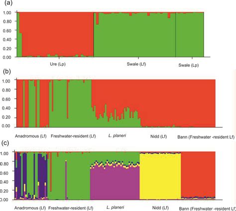 5 Structure Bar Plot Generated From Microsatellite Data Showing A Download Scientific Diagram