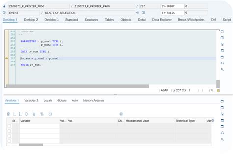 Sap Abap Debugger Guide Sap Training And Coaching