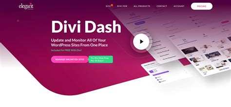 Top Features Of Divi Dash For Busy Wordpress Agencies