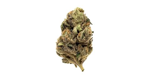 King Louis Cannabis Strain Information Growdiaries