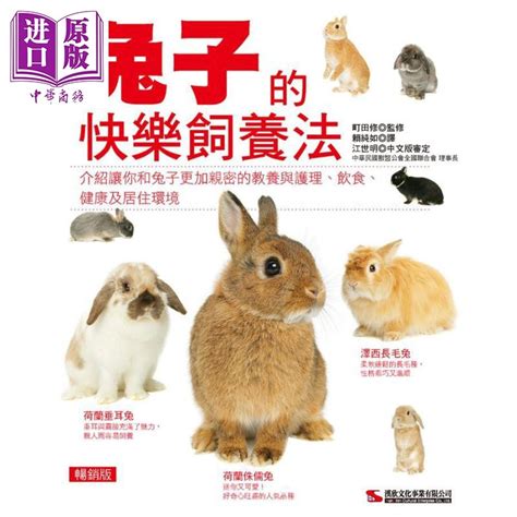 想养兔子吗？如何选择合适的品种来满足您的饲养需求？ 兔 淘宝百科网