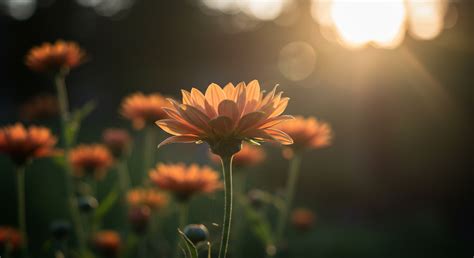 デルタフォースが起動できない「sailsdk init failed errorcode 2026000」の解決法 生活プラスター