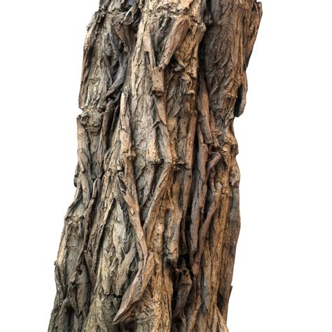 Tree Bark Brown 3d Model 20 Obj Free3d