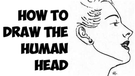 How To Draw A Human Head Step By Step
