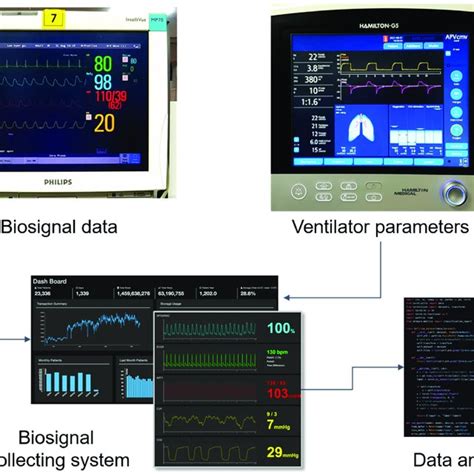 biosignal data collecting and data analysis process biosignal data download scientific diagram