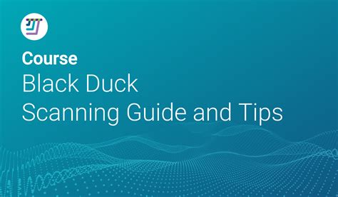 Black Duck Sca Scanning Guide And Tips