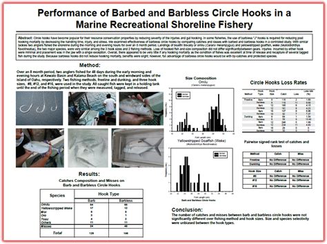2624 20 Years Of The Barbless Circle Hook Project Division Of