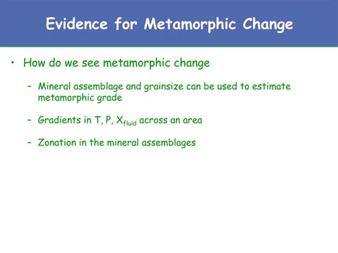 PPT Exploring Metamorphism Definitions Agents And Classification PowerPoint Presentation