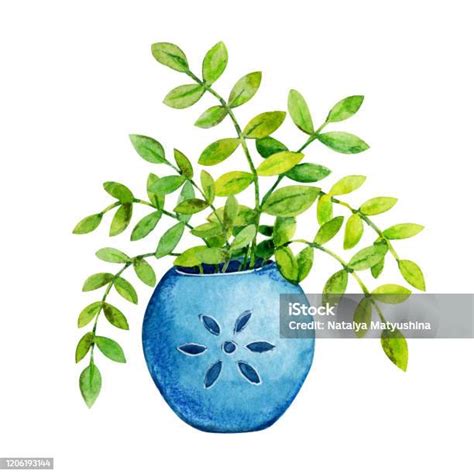 화분에 심은 꽃 녹색 식물 엽서 표지 광고 상점의 디자인을 위해 흰색 배경에 고립 된 손 수채화 그림 0명에 대한 스톡 벡터 아트 및 기타 이미지 Istock