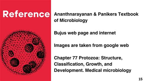 General Characteristics And Classification Of Protozoan Ppt
