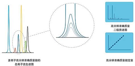 什么是定性分析，什么是定量分析？？