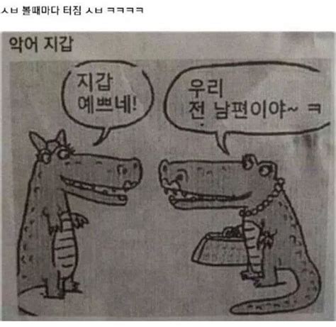 지갑 예쁜데 오늘의 유머 미수다