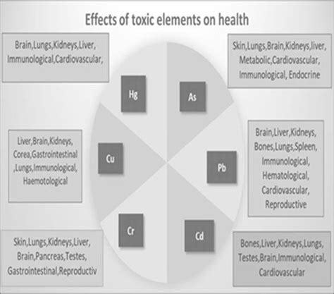 Some Important Effects Of Toxic Elements In Body Download Scientific