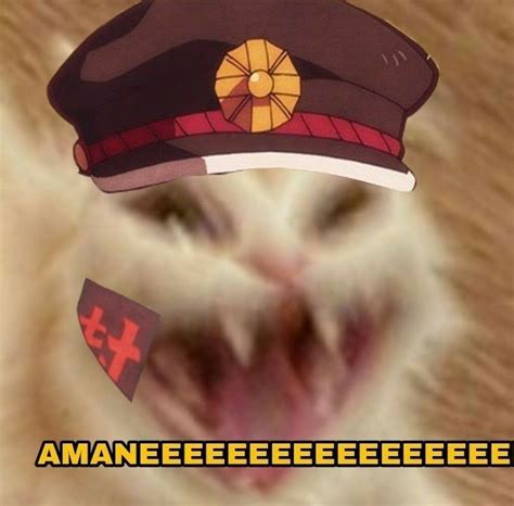 Amaneeeeeeee Веселые мемы Смешные мемы Плачущий мем