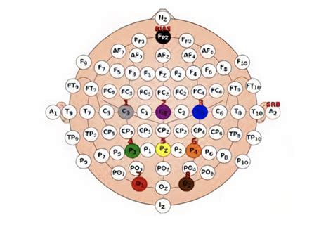 GitHub Mikaelhaji MotorImagery Motor Imagery System Using A Low Cost EEG Brain Computer