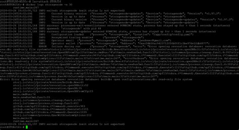 Multinode Online Status Incorrect Troubleshooting Storj Community Forum Official